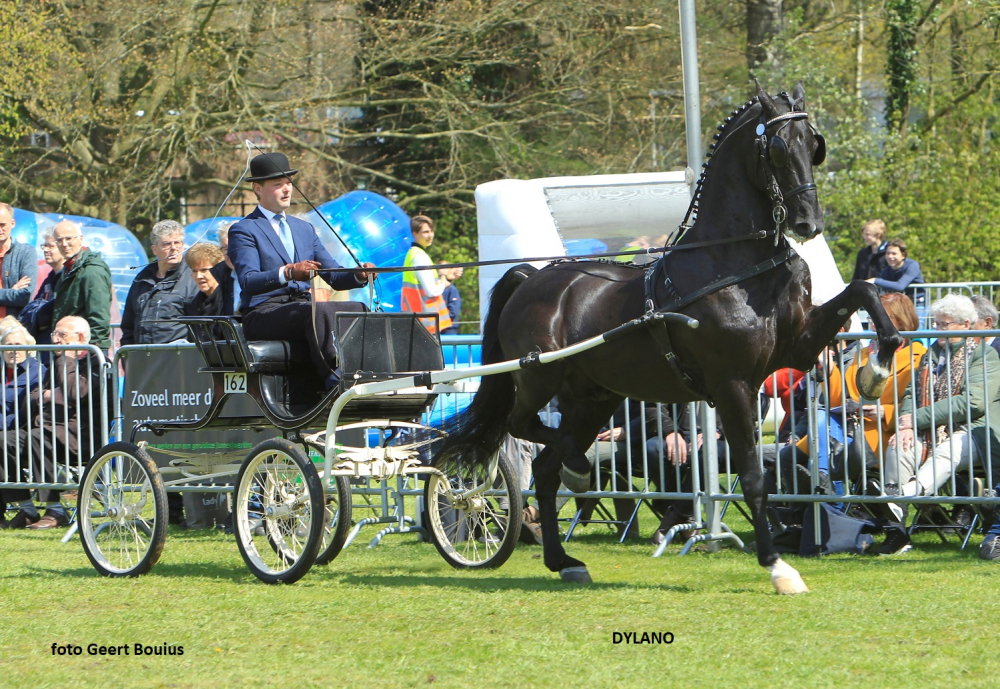 Nevaro, Latino, Dylano en Eclipse Grasshopper op kop in De Bilt ...